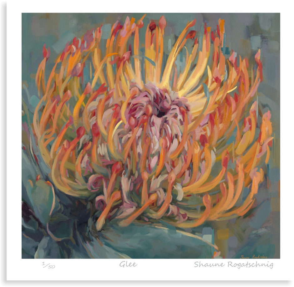 Series 1: Fynbos Archival Prints – Shaune Rogatschnig